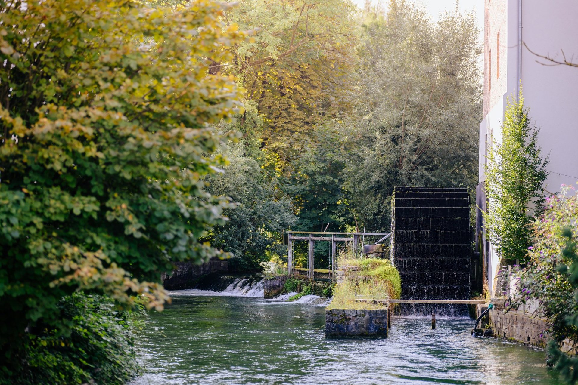 Paderfreunde laden zur Mitgliederversammlung | Die Stadt Paderborn